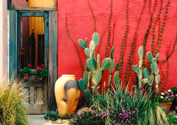 Vibrant Tucson | Design With A Reason